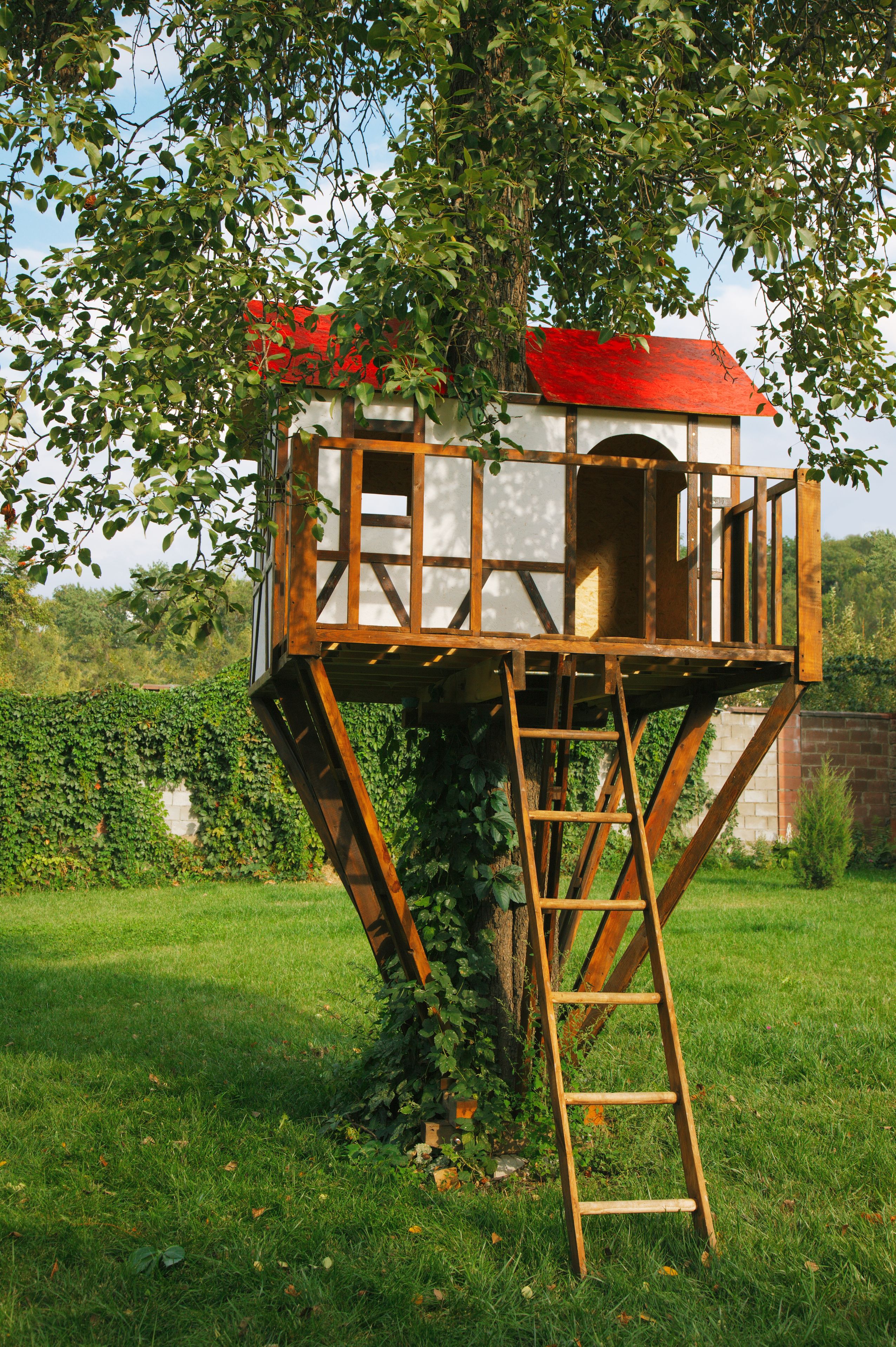Summer Treehouse